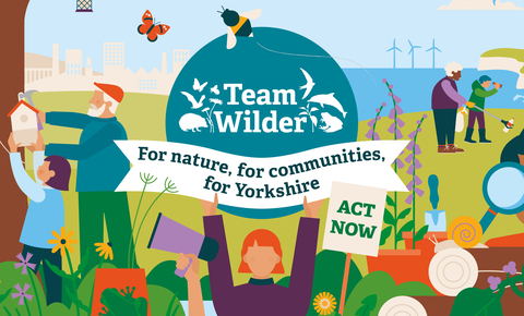 #TeamWilder | Yorkshire Wildlife Trust